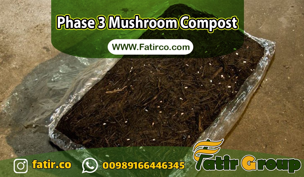 Phase 3 Mushroom Compost - Fatir General Trading Co