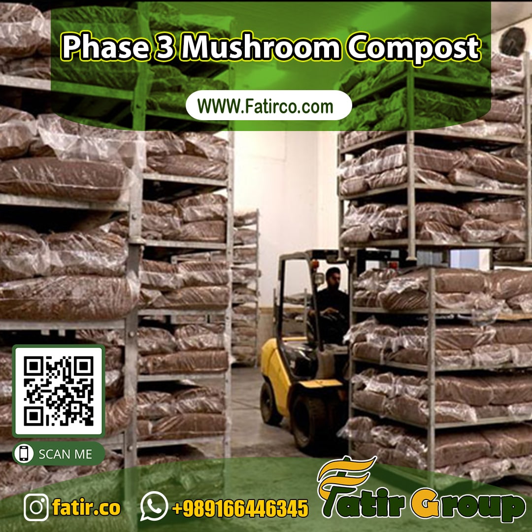 Phase 3 Mushroom Compost | Fatir Group - Fatir General Trading Co